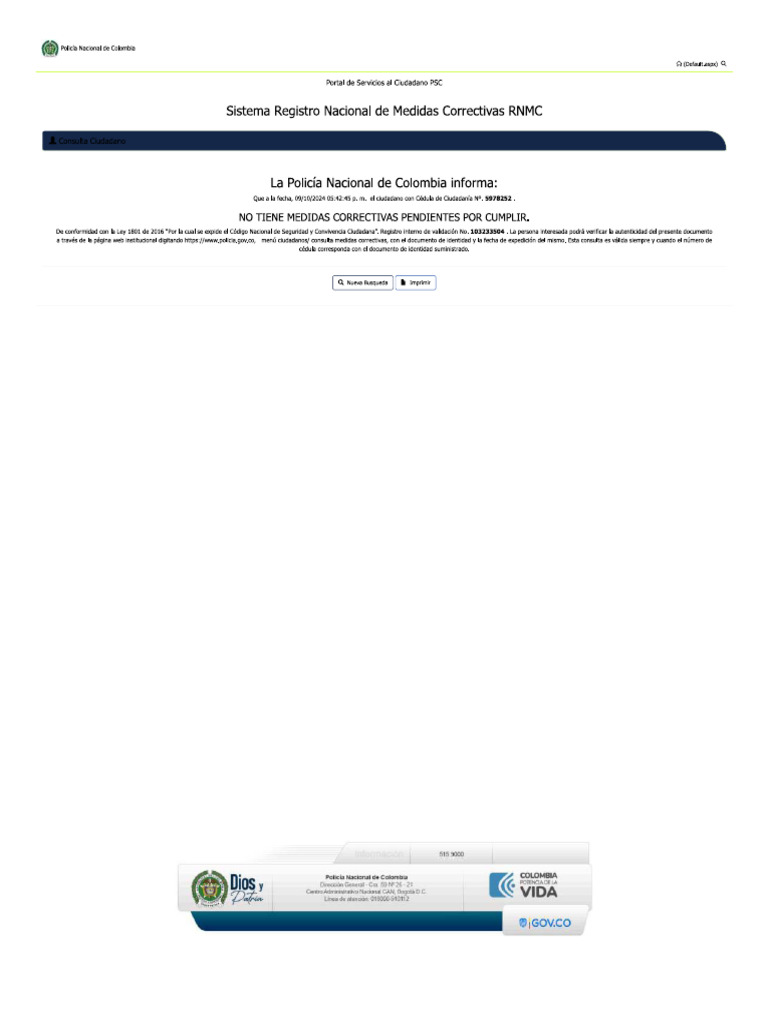 Antecedentes de Medidas Correctivas - Rnmc-Repaired | PDF