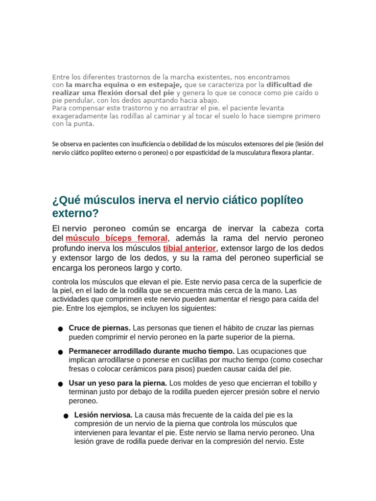 Marcha en Estepaje y Pie Caído | PDF | Pie | Nervio