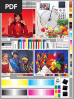 FOGRA39 Color Profile Test Chart | PDF
