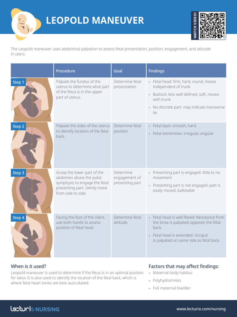 Leopold Maneuver | PDF | Human Reproduction | Obstetrics