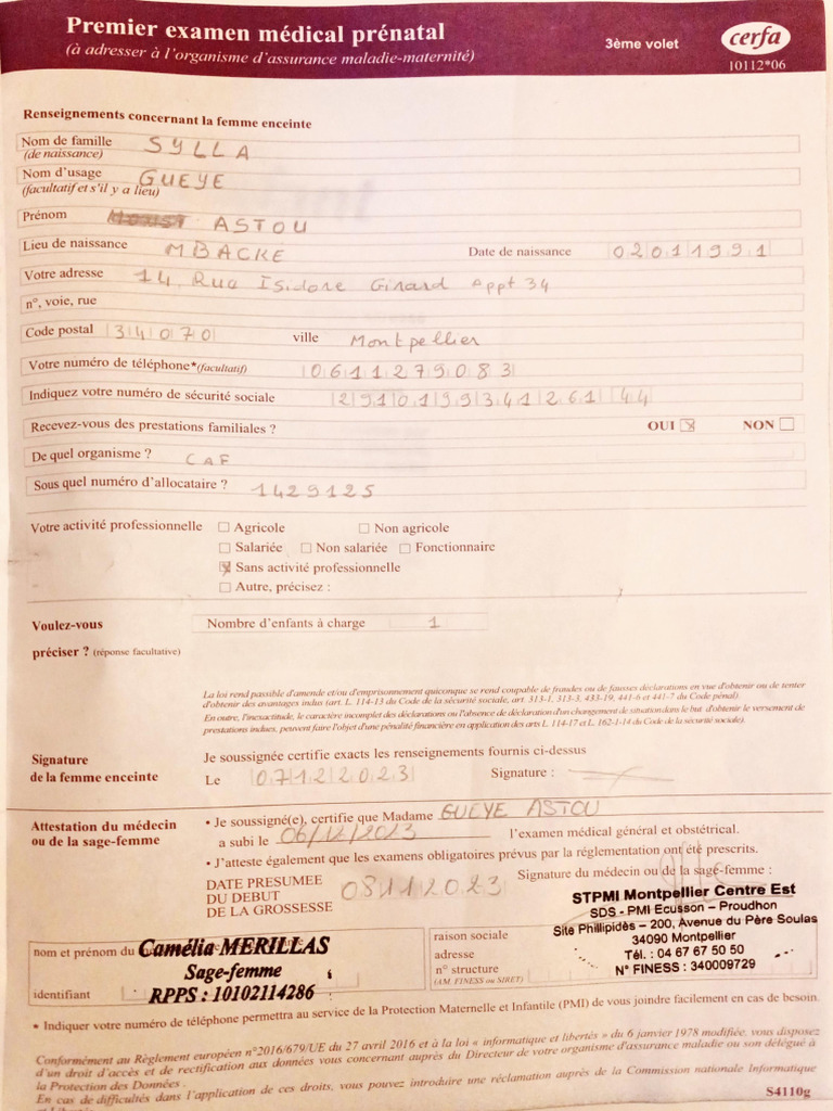 Déclaration Grossesse 23 Cpam | PDF