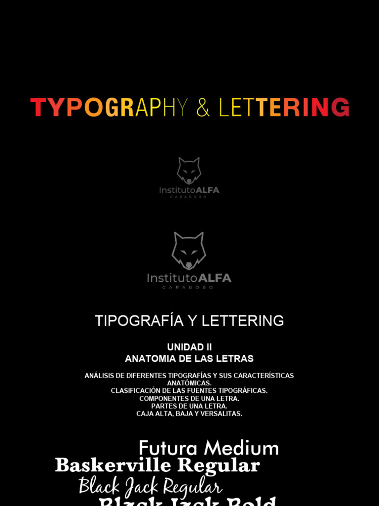 Anatomia de Las Letras | PDF | Tipografía | Serif