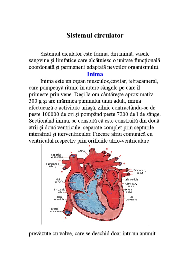 Sistemul Circulator | PDF