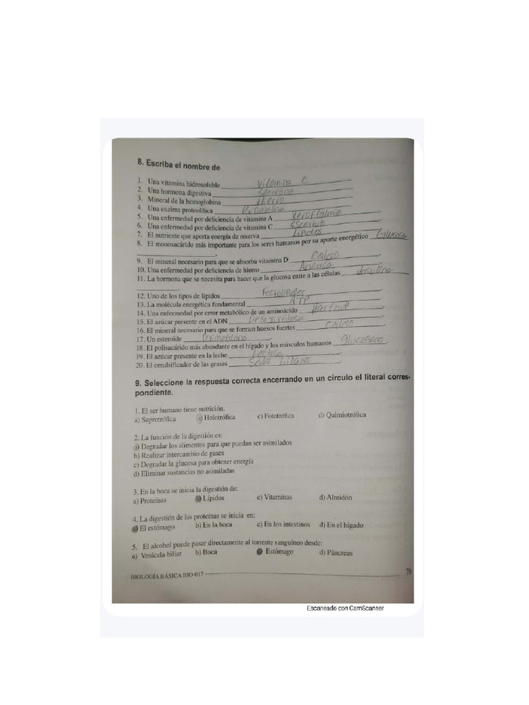 Documento (16) | PDF