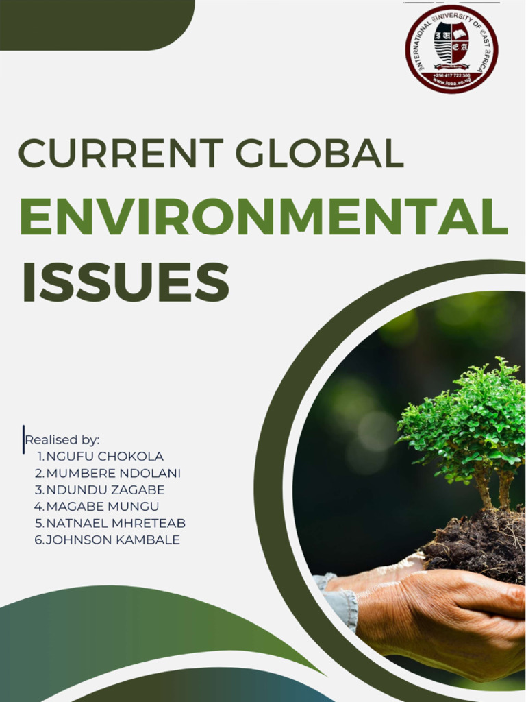 Current Global Environmental Issues | PDF | Water Pollution | Particulates