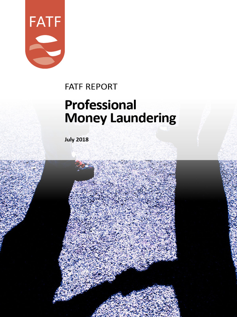 FATF Report on Professional Money Laundering | PDF | Financial Action ...