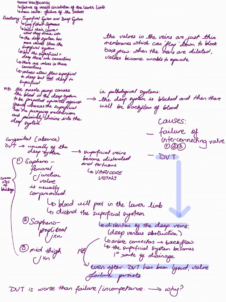 Surgery Notes - Venous Insufficiency_241015_081534 | PDF