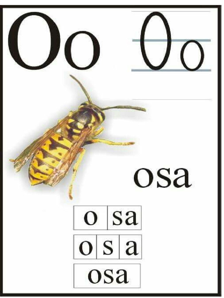 o jak osa | PDF