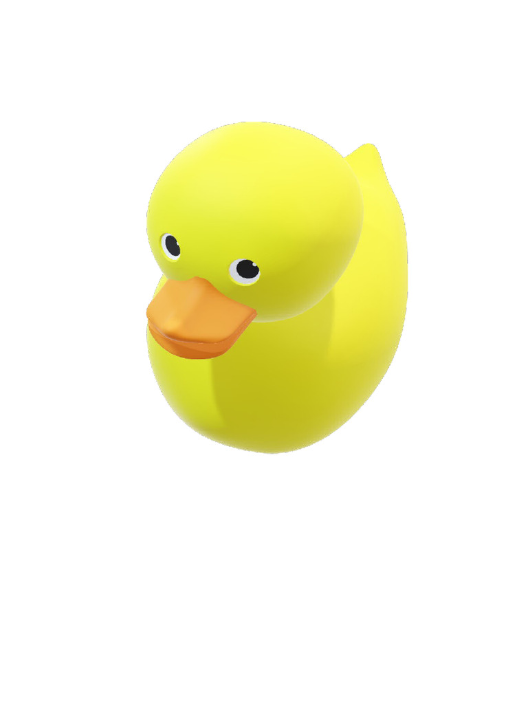 Duck | PDF