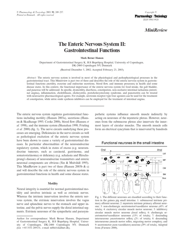 Hansen 2003 The Enteric Nervous System | PDF | Acetylcholine ...