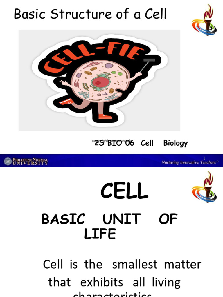 Basic Structure of Cell 2SBIO06 Garcia | PDF | Endoplasmic Reticulum ...