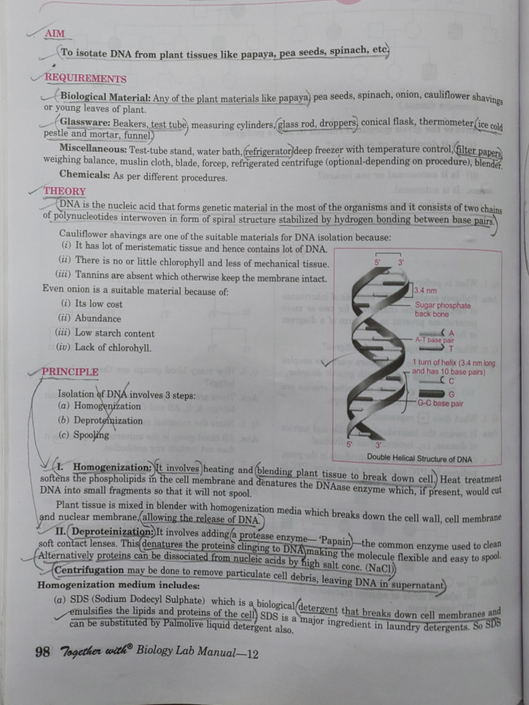 4th Practical DNA isolation | PDF