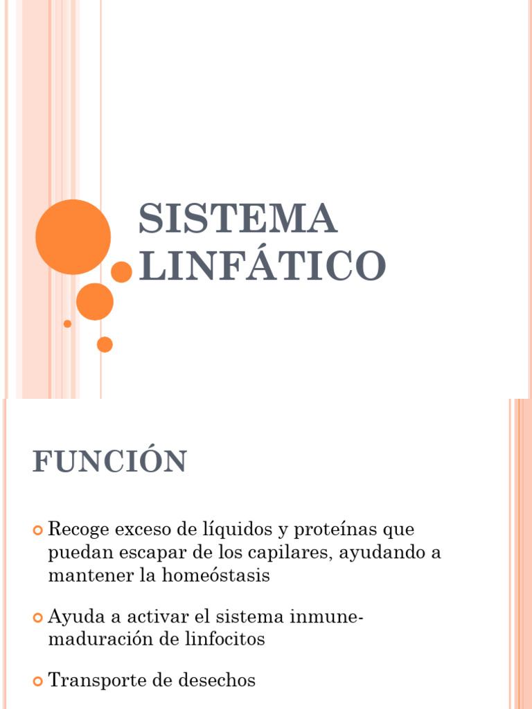 Semio 4 - Sistema Linfático | PDF