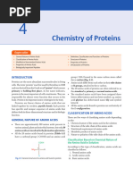 Amino Acids Classification Chart | PDF