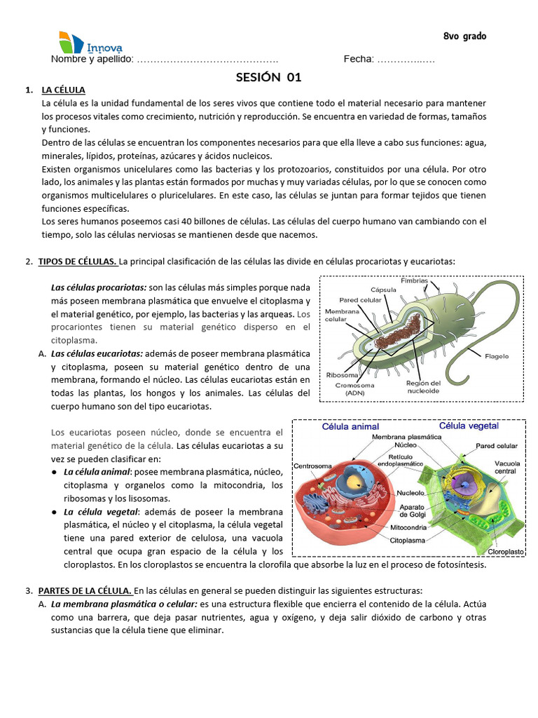 Anexo 2 La celula | PDF | Biología Celular) | Citoplasma