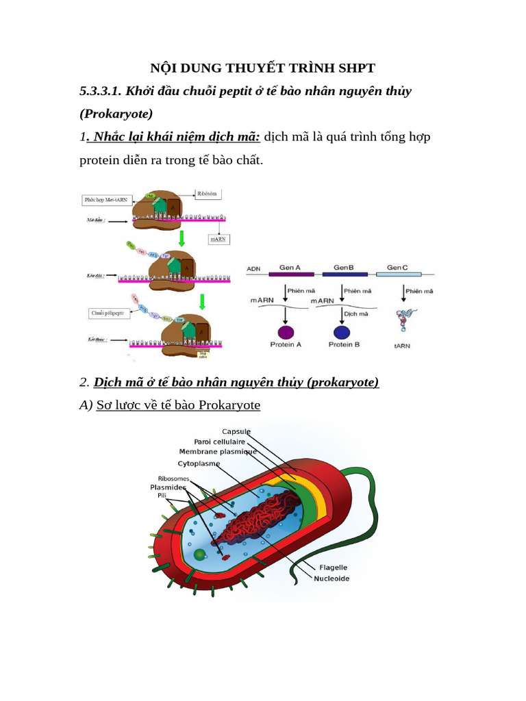 NỘI DUNG THUYẾT TRÌNH SHPT | PDF