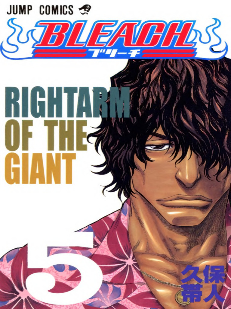 Bleach Digital Colored Manga Download | PDF