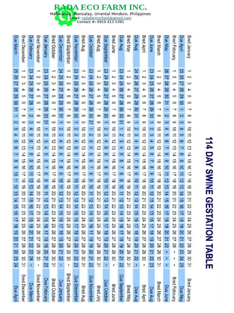 Gestating Table | PDF