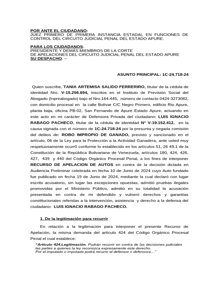Apelacion Audiencia Preliminar Luis Ignacio Rabago (Guillen) | PDF ...