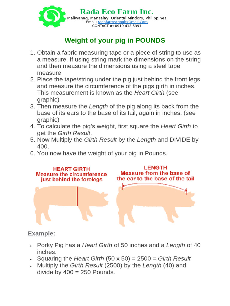 Weight of Your Pig in POUNDS | PDF | Weight | Length