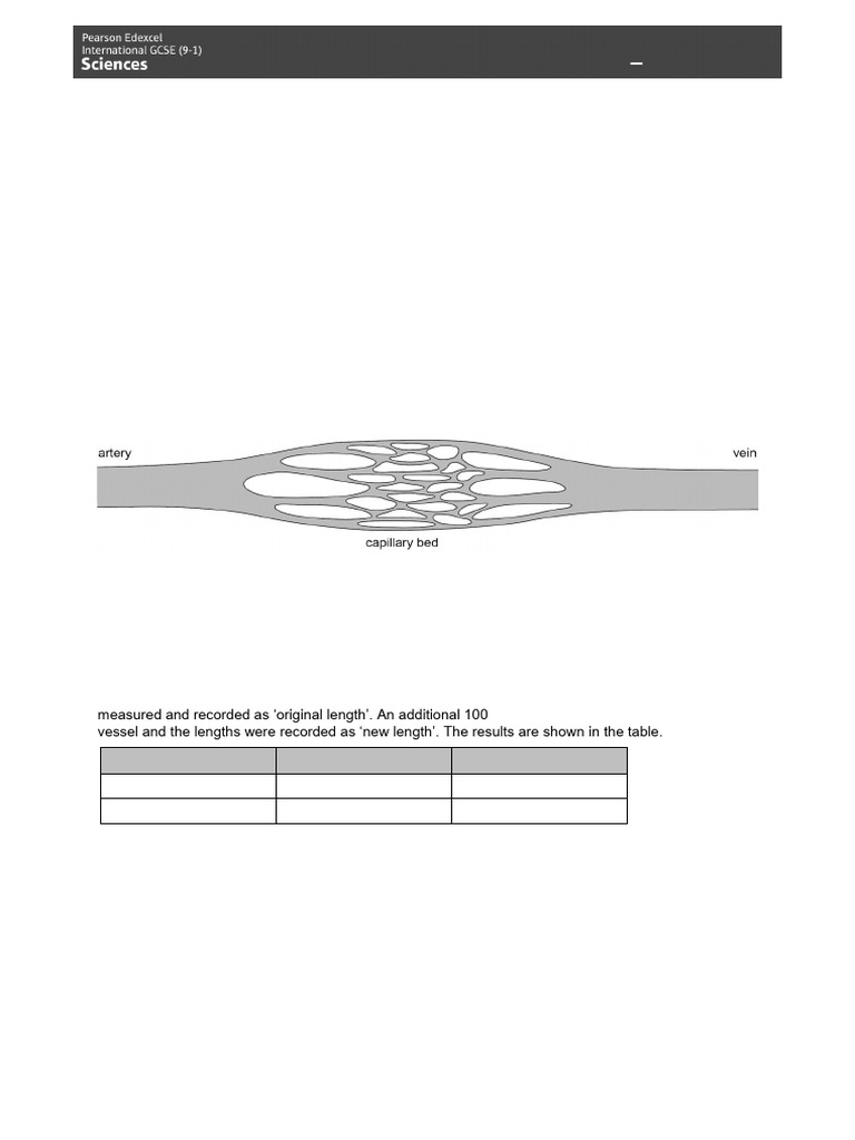 Capillaries worksheet | PDF | Blood | Red Blood Cell