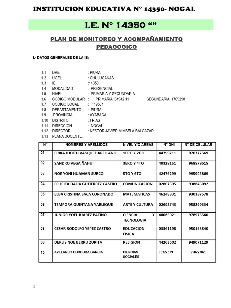 Plan de Acompañamiento Pedagógico IE 14350 | PDF | Enseñando | Evaluación