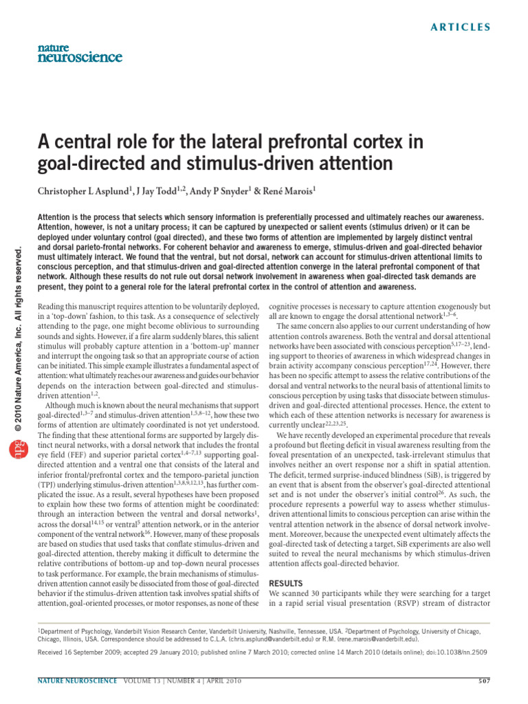 A Central Role For The Lateral Prefrontal Cortex in Goal-Directed and Atimulus-Drive Attention ...