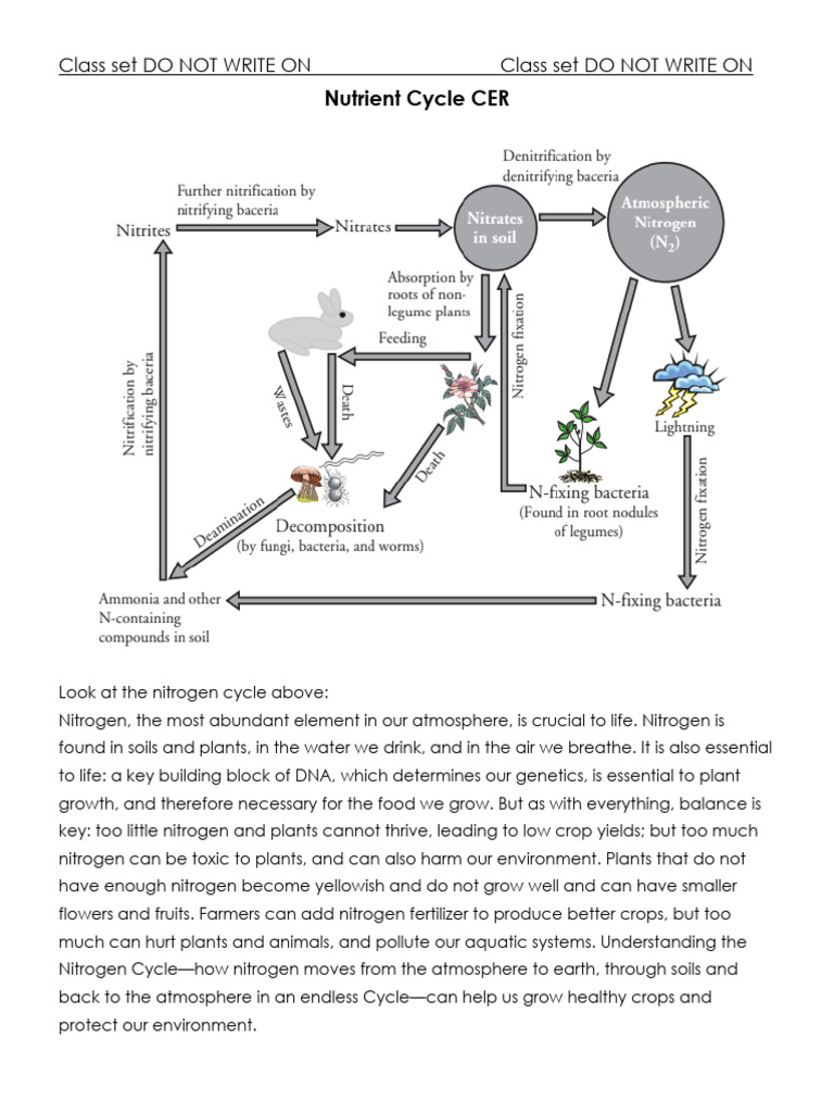 Nutrient Cycle CER | PDF