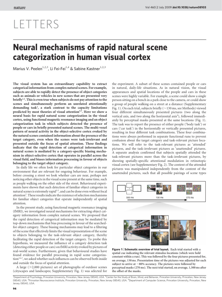 Neural mechanisms of rapid natural scene categorization- NC | PDF | Attention | Visual Cortex