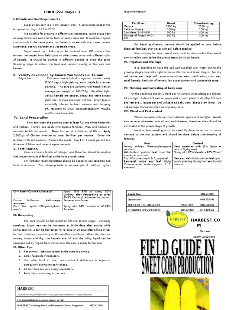 FIELD GUIDE IN SWEET CORN PRODUCTION revised nov | PDF | Maize | Fertilizer