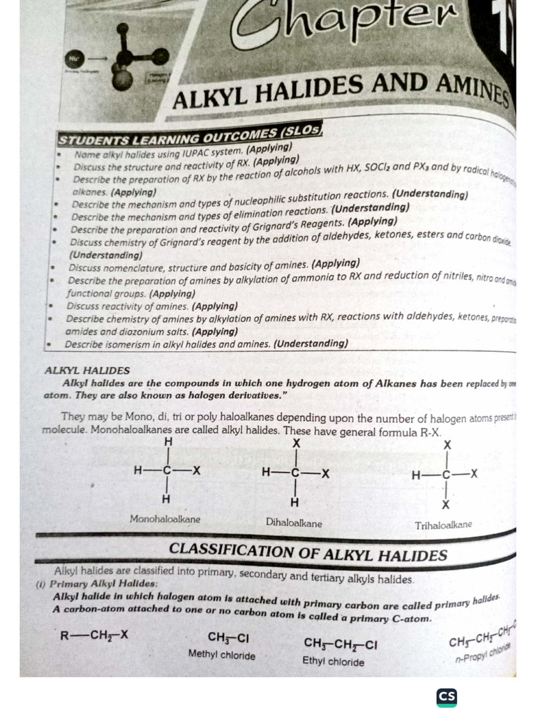 Alkyl Halides and Amines Exercise | PDF
