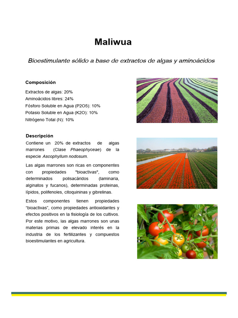 FT Maliwua | PDF