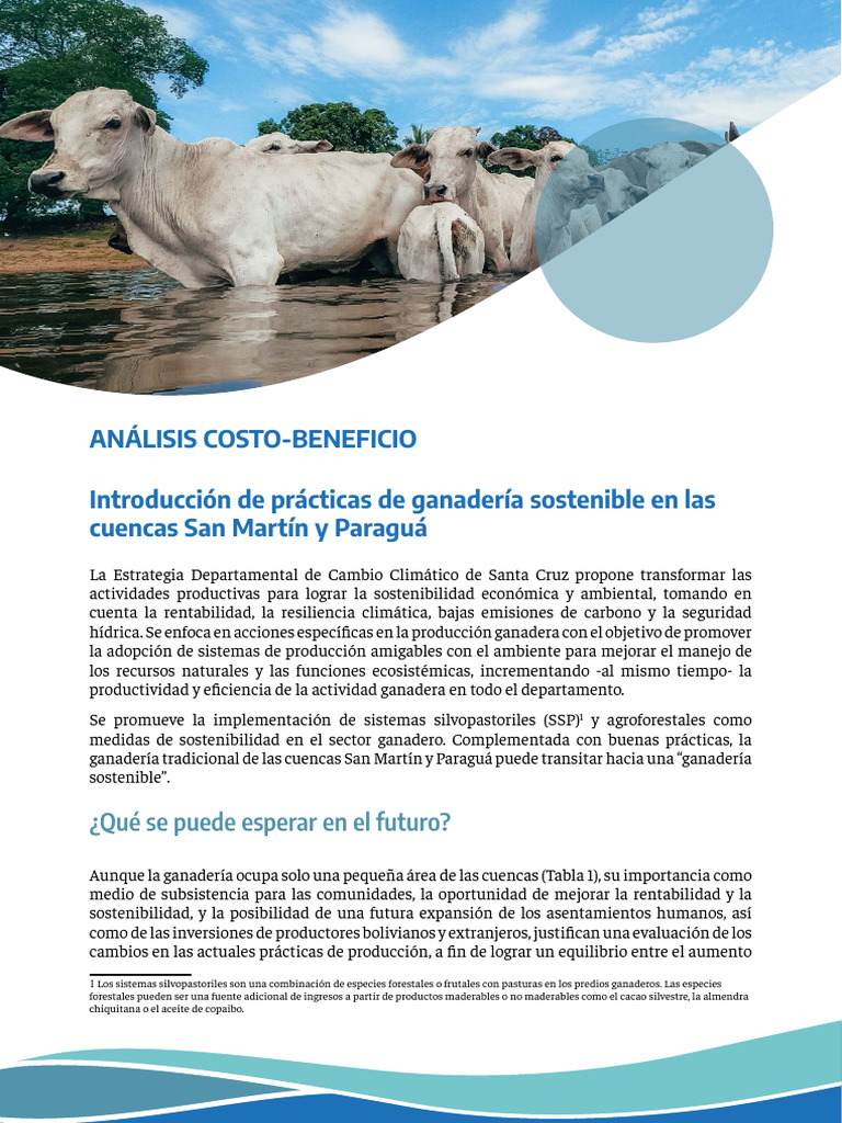 6546 - 02.1 ES Policy Brief. Ganadería ANALISIS COSTO BENEFICIO | PDF ...
