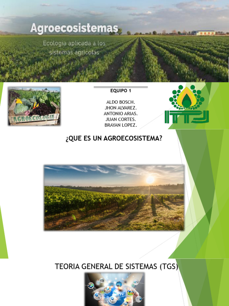 Presentación Agroecosistemas Equipo 1. | PDF | Agricultura | Entorno natural