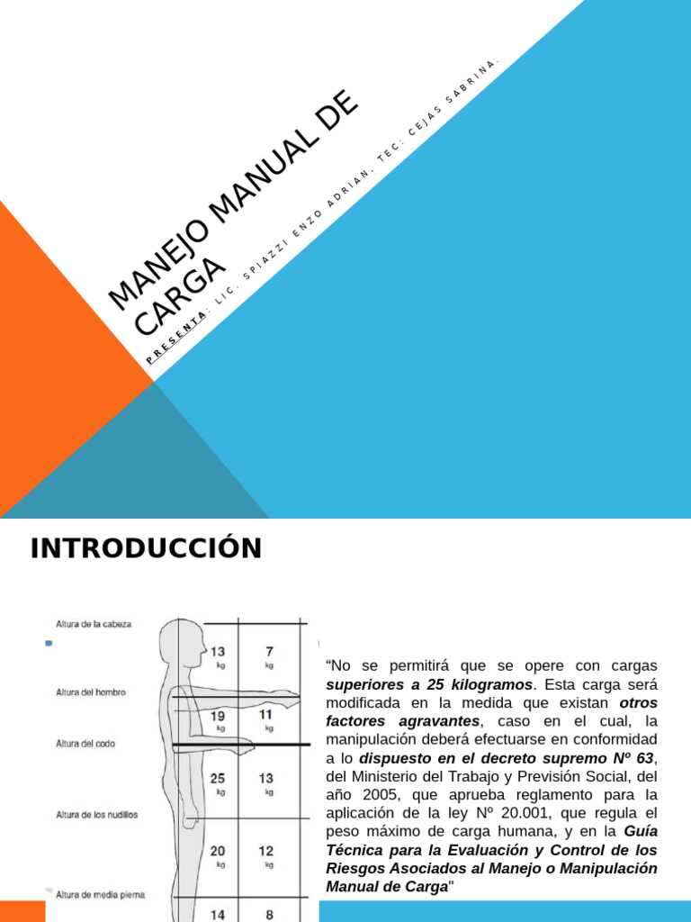 Manejo Manual de Carga | PDF