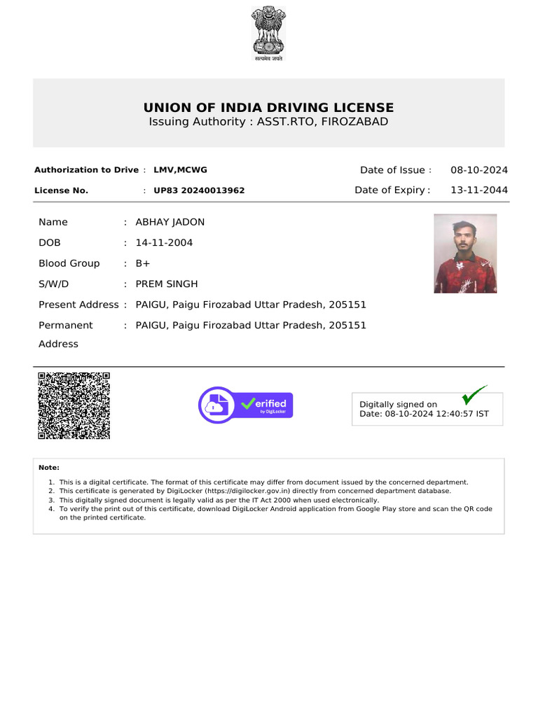 Driving License | PDF