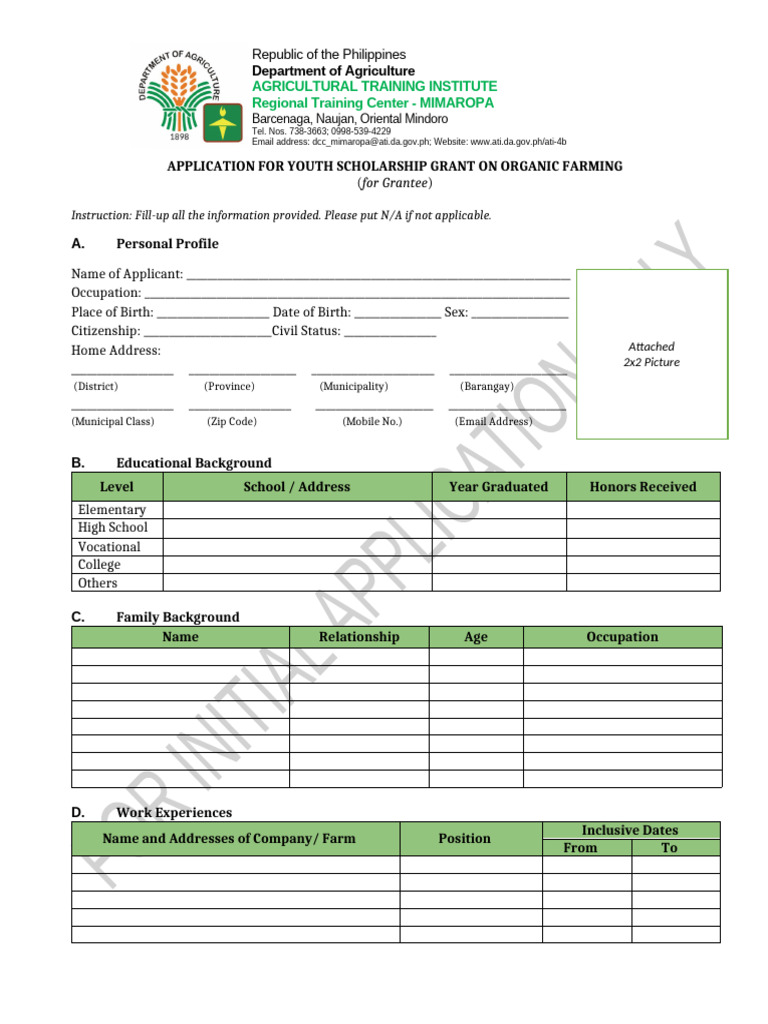 Application Form For Youth | PDF
