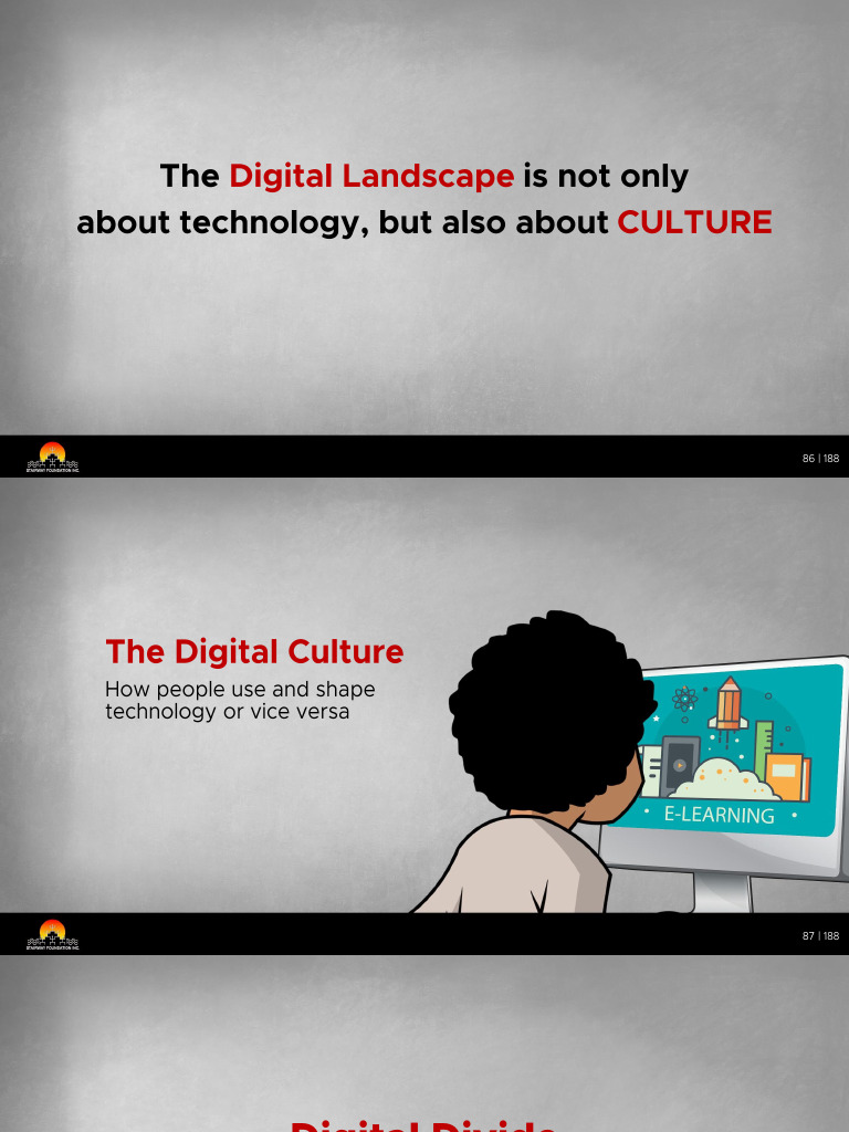 Digital Divide | PDF