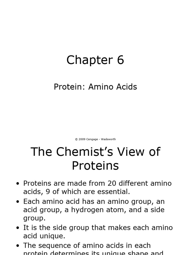 ch.6 Protein Amino Acids | PDF | Amino Acid | Proteins