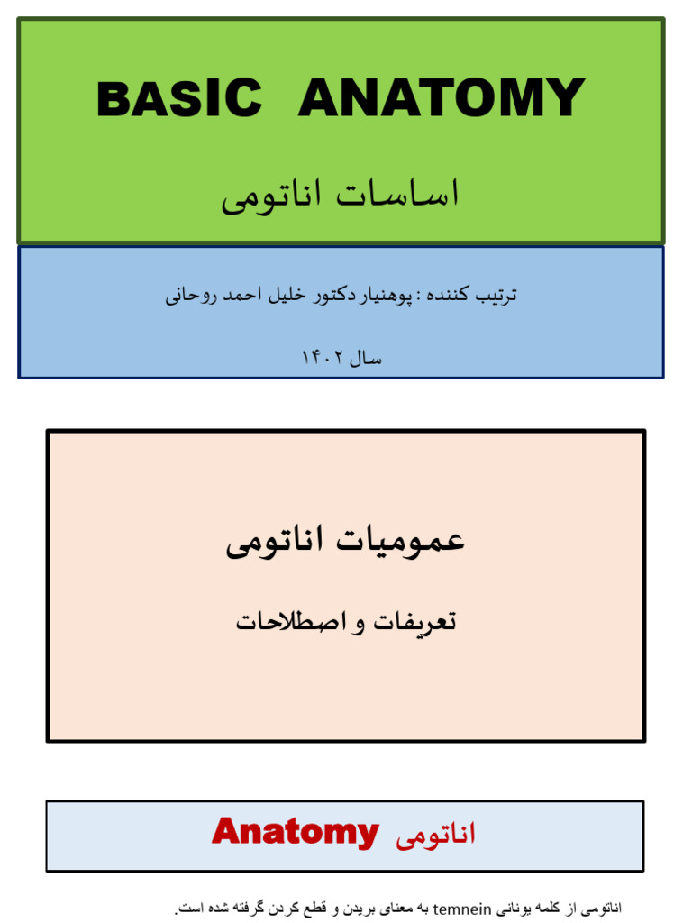 Basic Anatomy | PDF