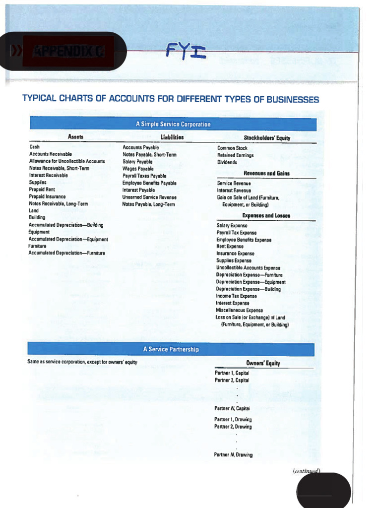 Typical Chart of Accounts FYI | PDF