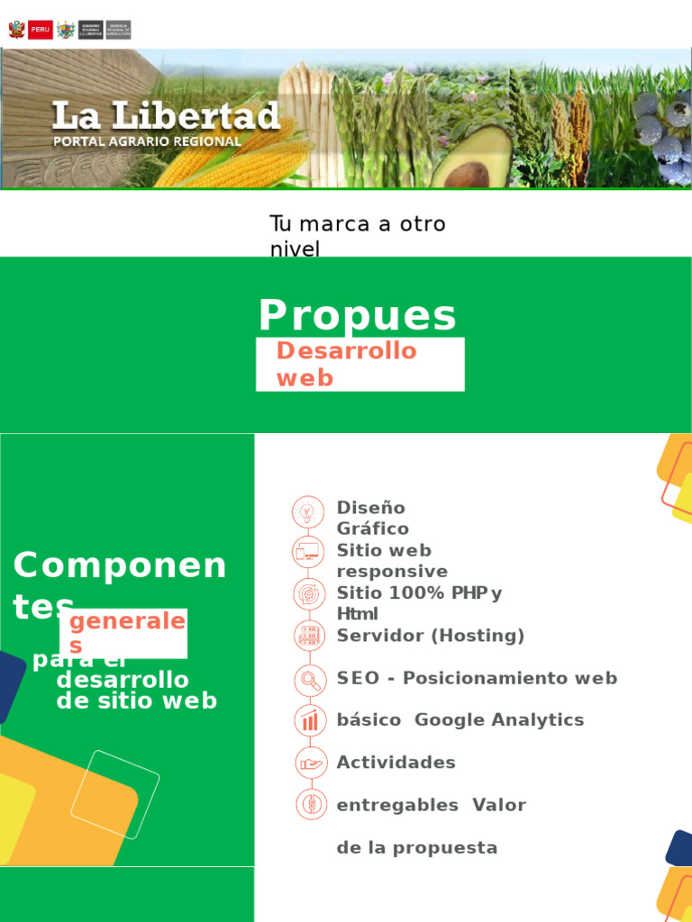 Propuesta-Desarrollo-Sitio-web | PDF | Sitios web | Red mundial