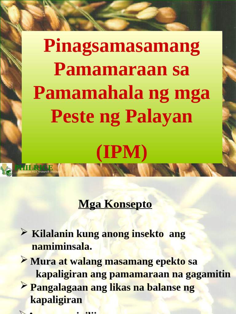 IPM Tagalog Insect | PDF