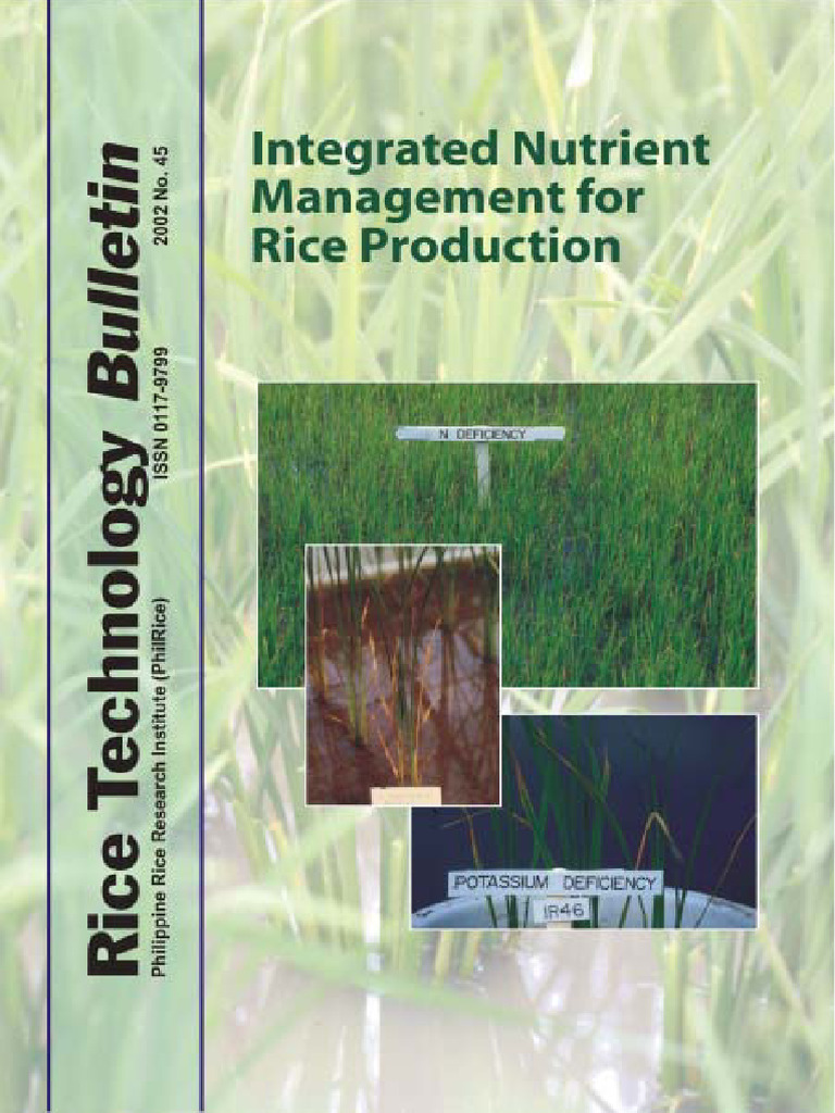 Nutrient Management in Rice Cultivation | PDF | Rice | Plant Nutrition