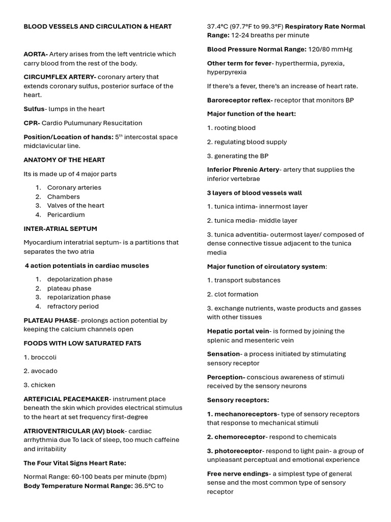 Heart Anatomy and Circulatory System Overview | PDF | Heart | Artery