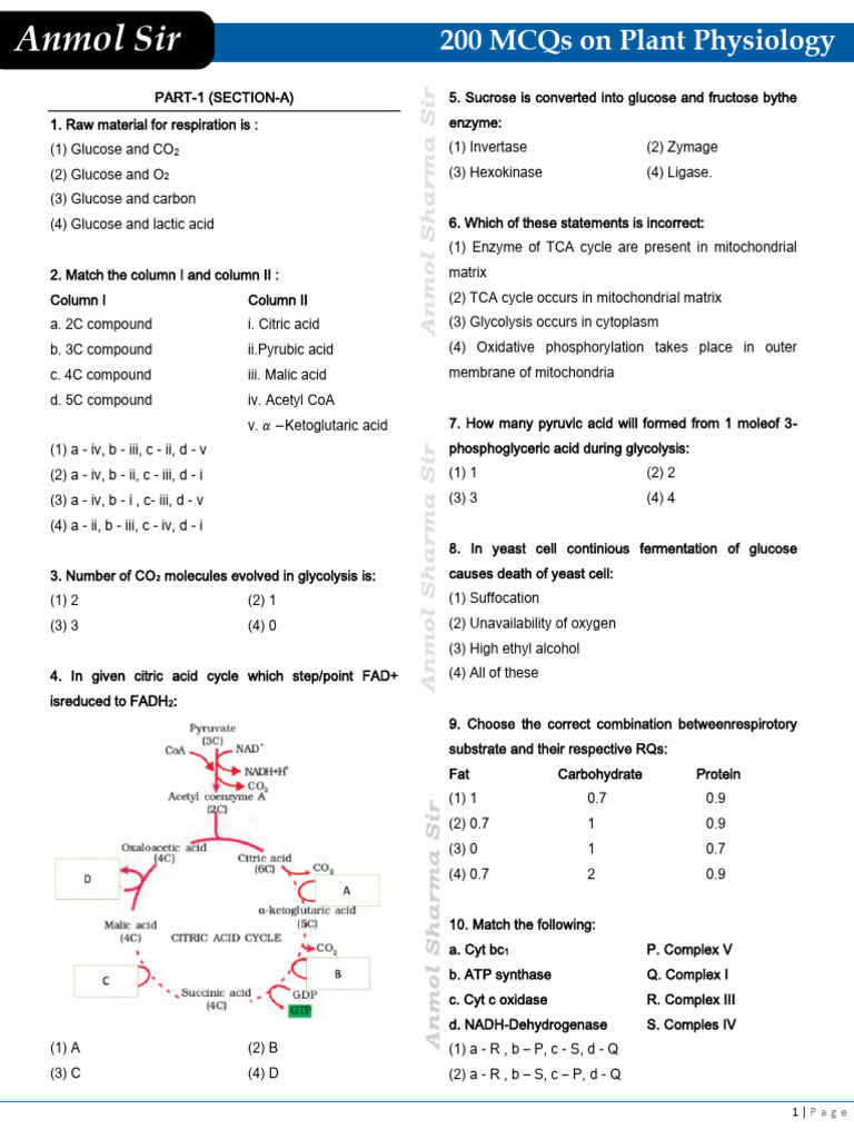 Class 11th Unit 4 Question | PDF | Cellular Respiration | Glycolysis