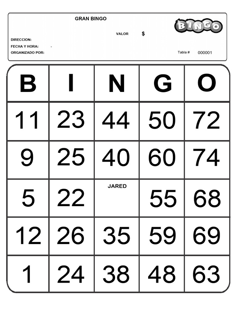 B I NGO: Gran Bingo | PDF