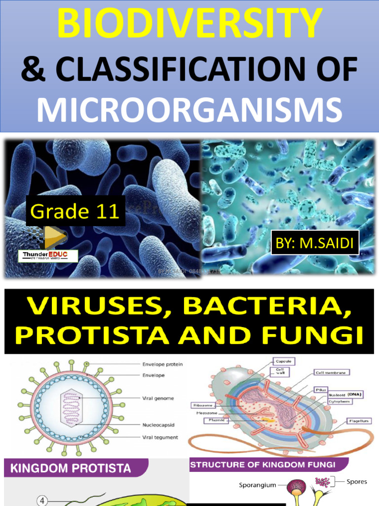 Life Scinces Grade 11 Book | PDF | Flowers | Reproduction