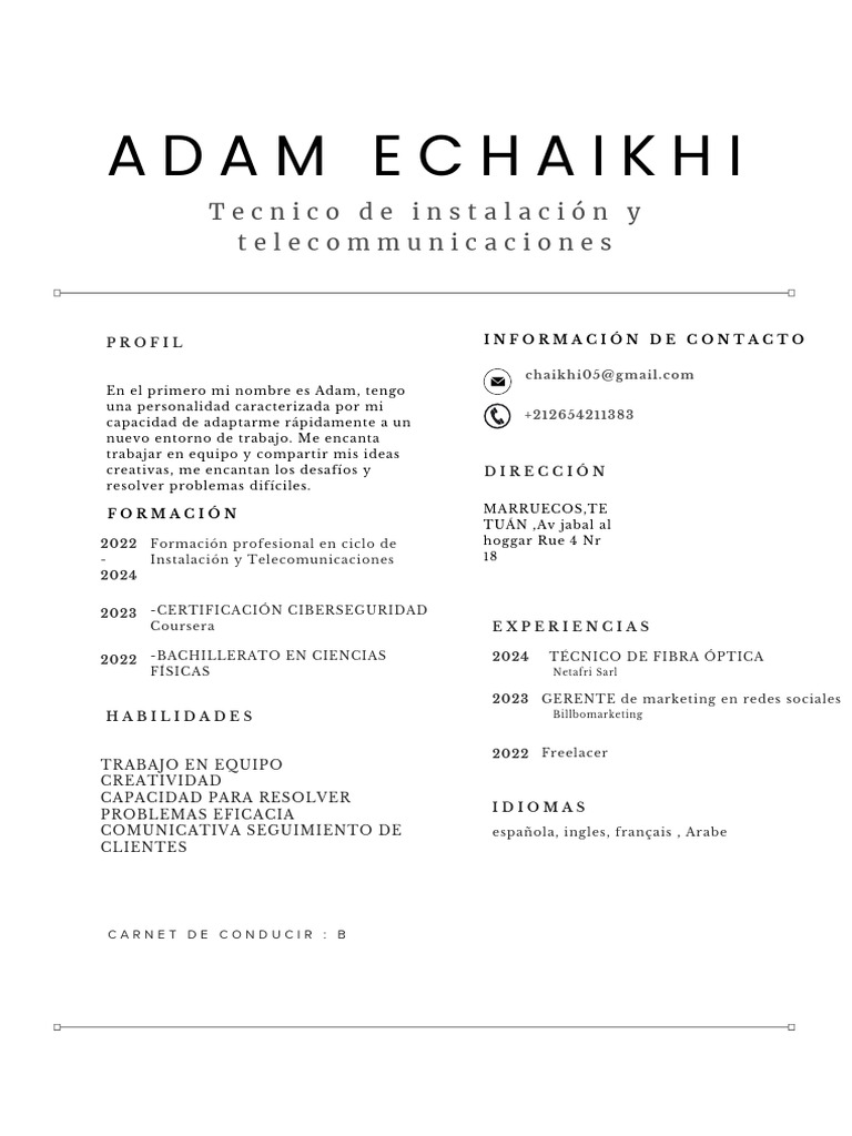 CV Spanish | PDF | Negocios