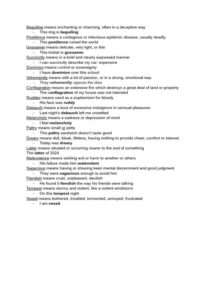 Vocab Sentences - Google Docs | PDF